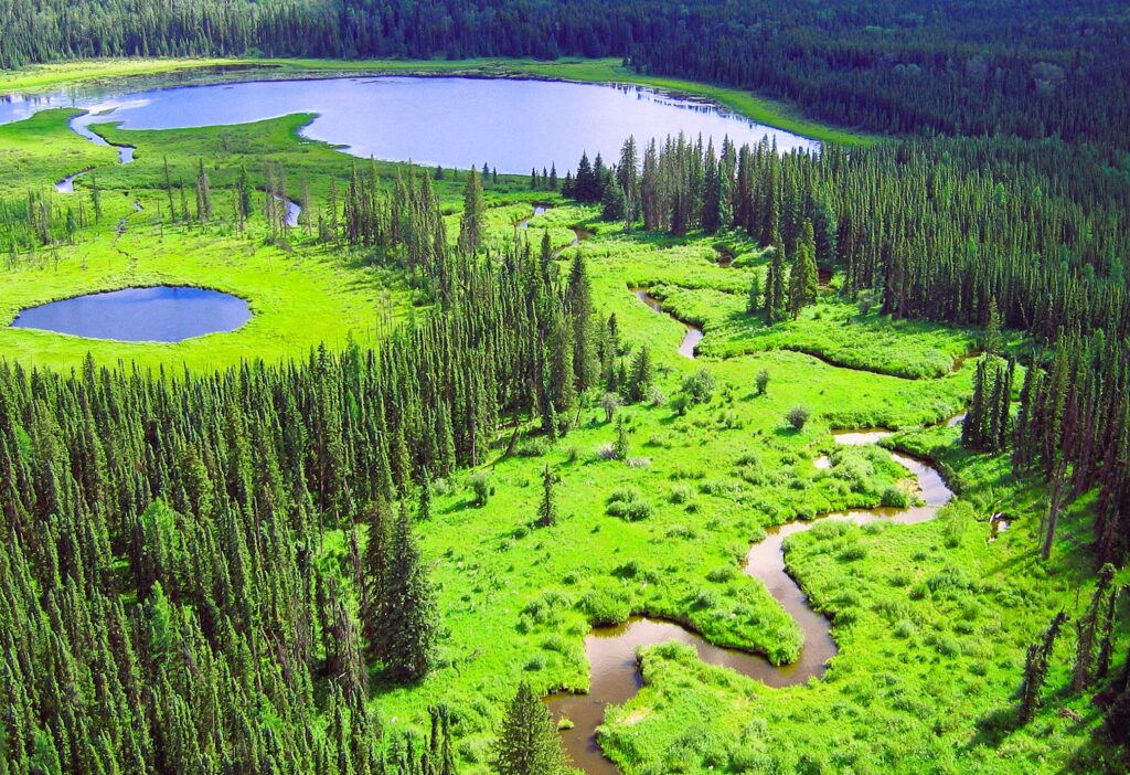 Water Management and Conservation in Alberta : KTAlberta